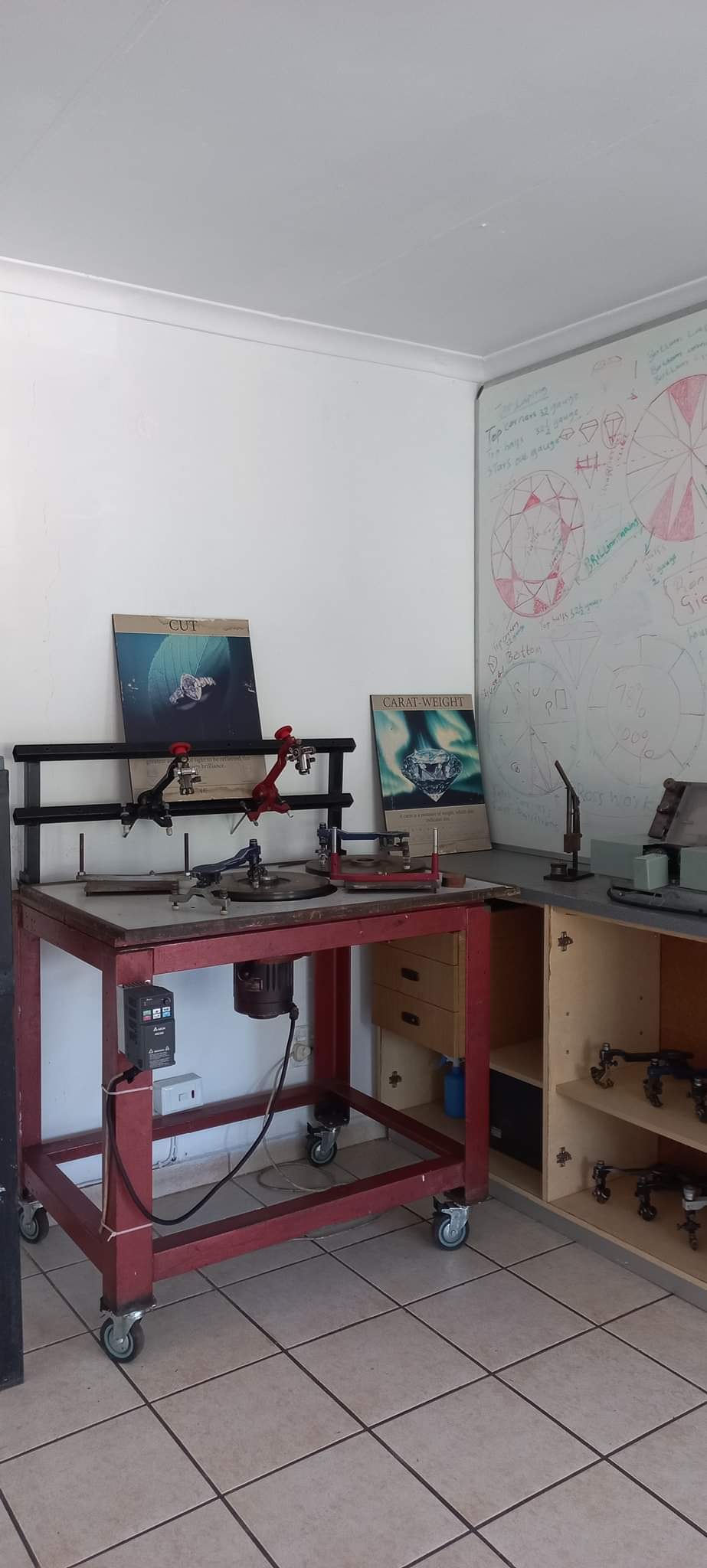 Corlia Roberts Institute of Diamonds | Corlia Roberts