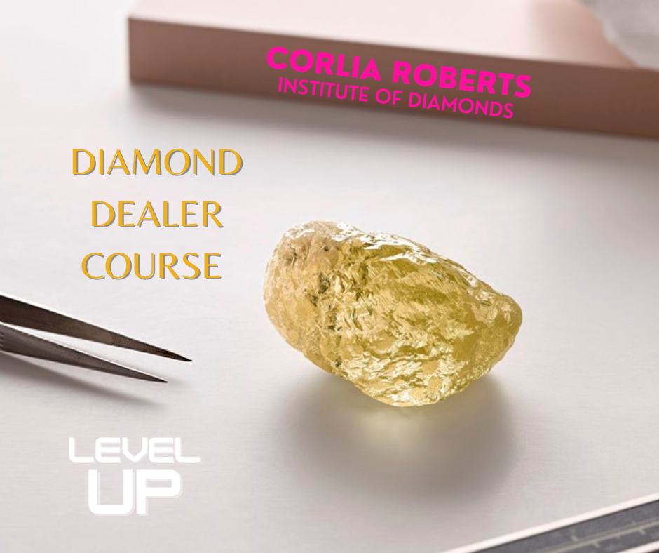 Corlia Roberts Institute of Diamonds | Corlia Roberts